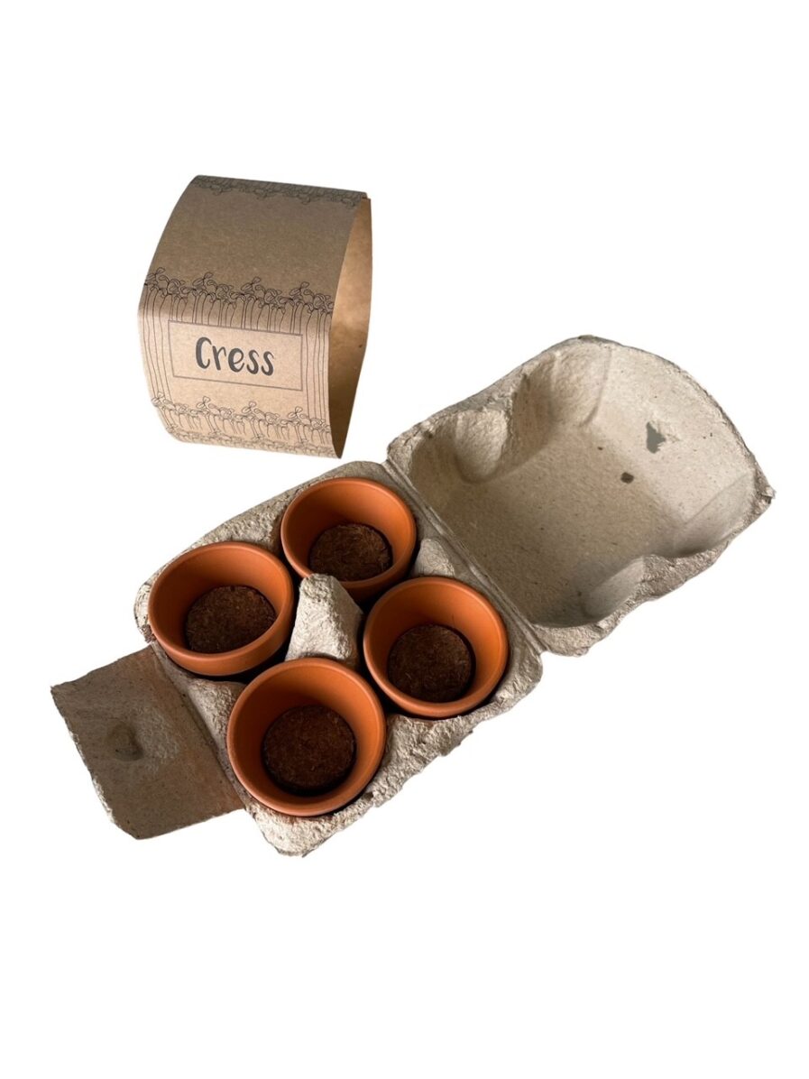 Set of pots with seeds – Σύλλογος Ελπίδα