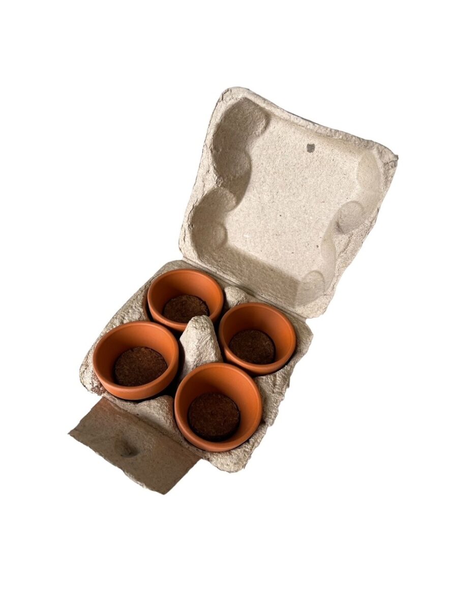 Set of pots with seeds – Σύλλογος Ελπίδα